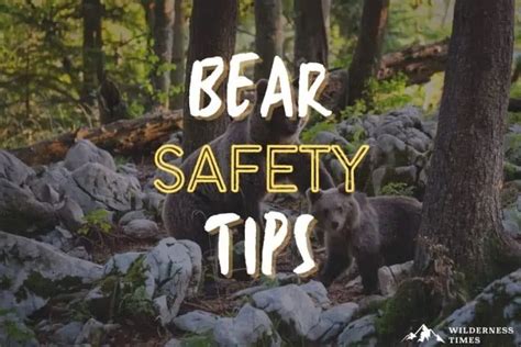 How To Protect Yourself From Bears Safety Tips