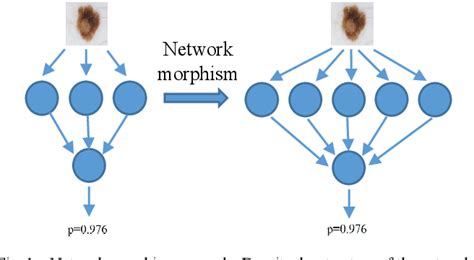 Figure 1 From Deep Neural Network Architecture Search Using Network Morphism Semantic Scholar