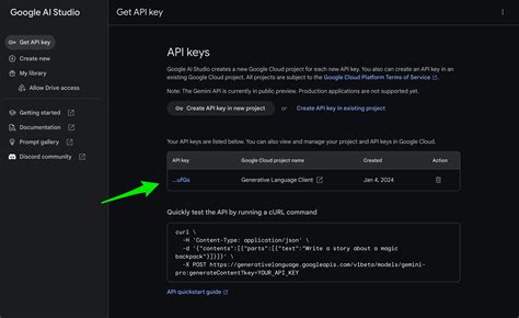 Google Gemini The Caller Does Not Have Permission When Creating API Key Stack Overflow