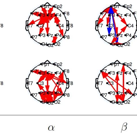 Schematic Representation Of The Affective Touch Display Used In The Download Scientific Diagram