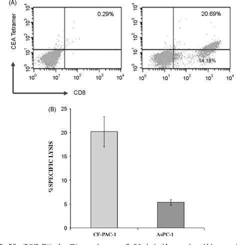 Figure 1 From Human Dendritic Cell Maturation And Activation By A Heat Killed Recombinant Yeast