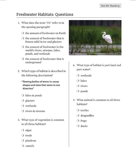 Eqao Practice Test Sample Questions And Prep — Ez Teach