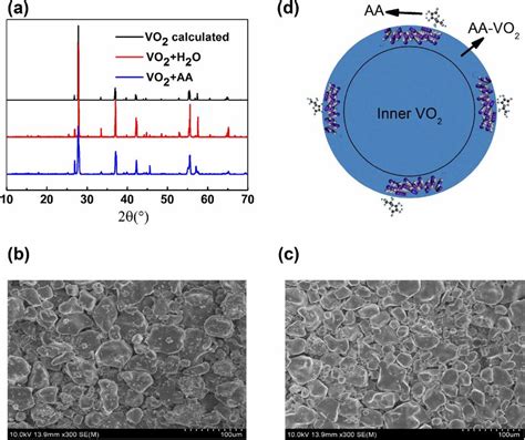 A X Ray Diffraction Pattern Of H2o Treated Vo2 Red Line And Aa