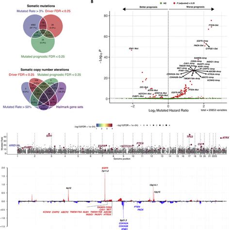The Identification Of Significantly Altered Gene And Their Prognostic