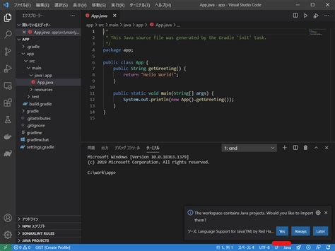 Vscode Java