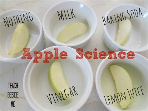 75 3rd Grade Science Projects For The Classroom Or Science Fair