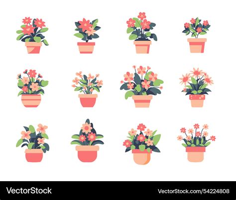 Cute Flowers In A Pot Set Royalty Free Vector Image