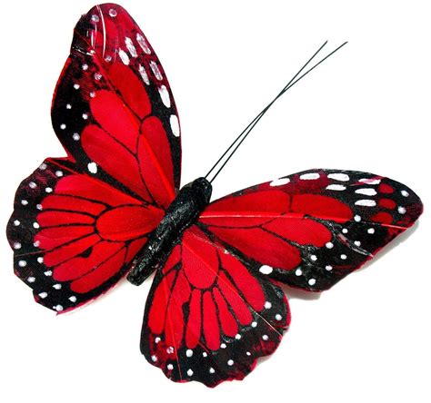 Red Colour Butterfly Wallpaper At Michael Thornton Blog