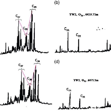 Regular Sterane Characteristics Of Present Day Low Toc Middle Upper