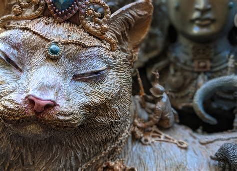 A Tyrannical Tabby Rules An Opulent Assemblage Of Densely Layered