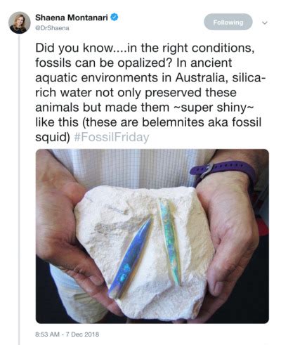 Scale Up Enrichment Tumblr Com Tumbex