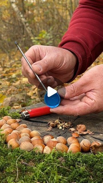Sergio Outdoors On Instagram Genius Lifehack For Quick Nut Cleaning