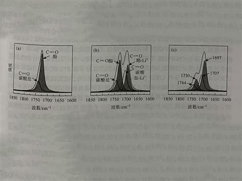 Polytrimethylene Carbonate Based Solid Polymer Electrolyte Key