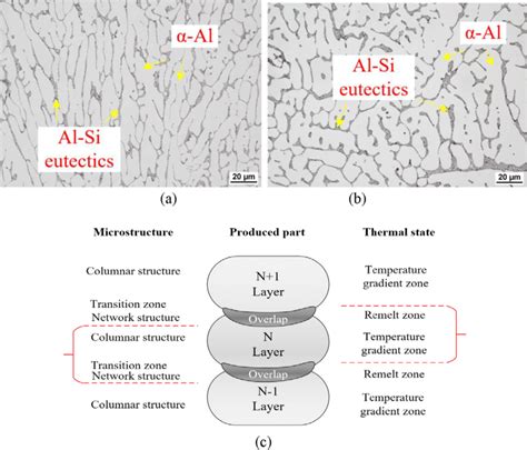The Microstructure Features Of As Built Struts A Layer Region B