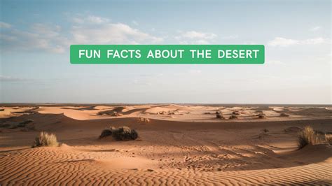 70 Desert Fun Facts That Will Surprise You Illustrated Tea Cup