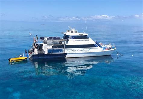 Son Of 71 Year Old Who Died On Great Barrier Reef Cruise Claims Reef Experiences Lawyer