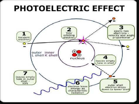 Radiobiology Physics And Chemistry Of Radiation Absorption Pptx