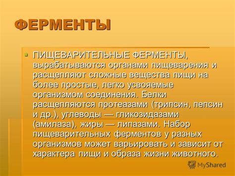 Презентация на тему: "ПИЩЕВАРЕНИЕ=2 ПИЩЕВАРЕНИЕ, процесс механической и ...