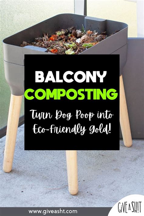 How To Compost Dog Poop In Your Balcony Compost Best Compost Bin