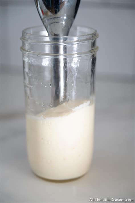 How To Make Whole Egg Mayo Homemade Mayonnaise Little Reasons