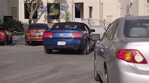 Find And Share On Giphy