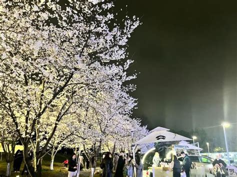 深入解析nbio框架 知乎