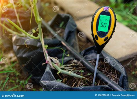 Use Soil PH Meter For Check The PH Value Stock Photo Image Of Field Alkaline