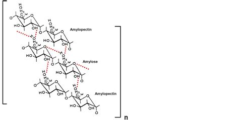 The Principles Of Starch Gelatinization And Retrogradation