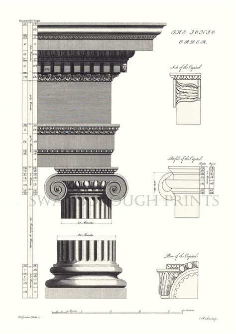 ionic column sketch