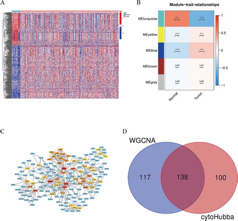 Selection Of Immune Related Genes A Heatmap Showing Differential