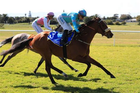 Lickety Split Could Follow Up Turf Talk