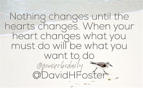 Proverbs Daily A Bird Walking On The Sand By The Ocean