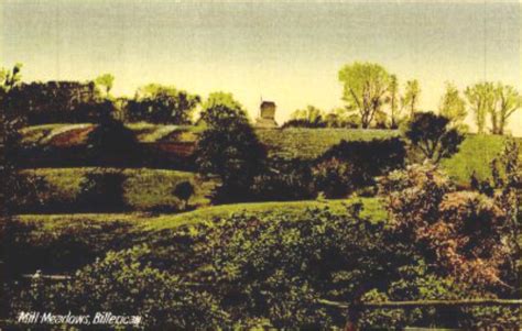 Mill Meadows Society