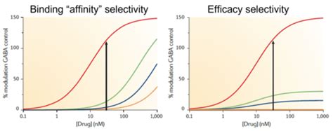 Gaba A Receptor Subtypes Flashcards Quizlet
