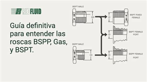 Rosca Bsp Para Bspp Y Bspt Padua Materiales
