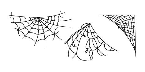 Halloween Decor Spider Cobweb Hand Drawn Illustration Isolated On