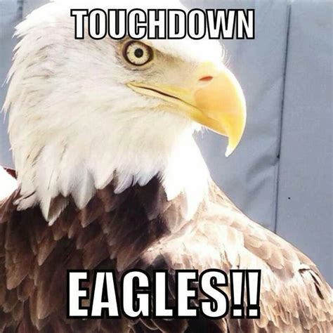 Touchdown Eagles Nfc East Champions Eagles Fans Eagles