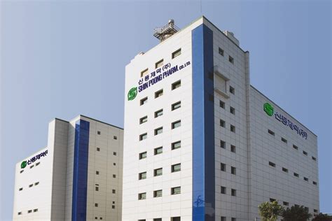 신풍제약｜2025년 상반기 영업본부 대구지점 Mr 신입 채용 In This Work · 인디스워크