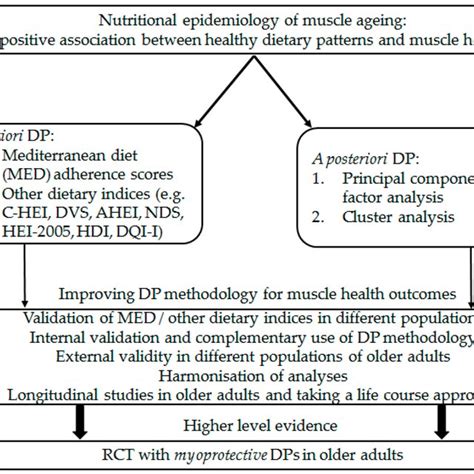 Dietary Pattern Muscle Health Hypothesis Investigation In Nutritional Download Scientific