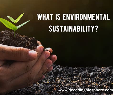 What Is Environmental Sustainability Definition And Examples Decoding