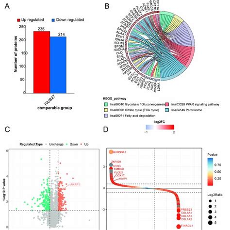 Characterization And Identification Of Hipscs And Hipsc Cms A