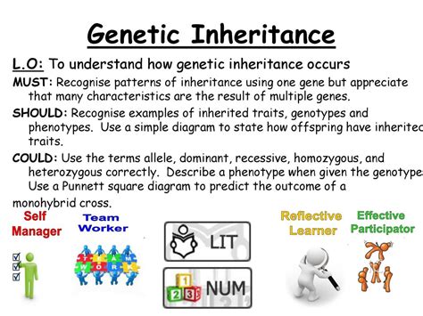 Heredity Examples