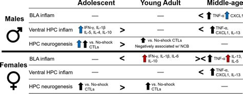 Of Age And Sex Specific Inflammation And Neurogenesis Results In Rats Download Scientific