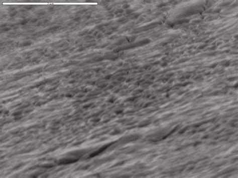 Sem Micrographs Of Glass Samples Annealed At A T 630 °c For T 5