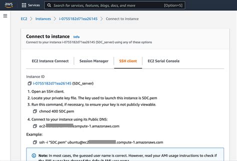 Creating And Deploying An Ec2 Instance For Postgres Db By The Trash Panda Medium