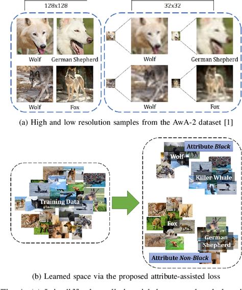 Figure From Enhancing Fine Grained Classification For Low Resolution Images Semantic Scholar