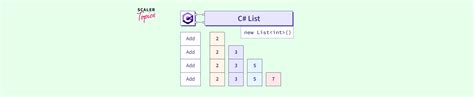 C List With Examples Scaler Topics