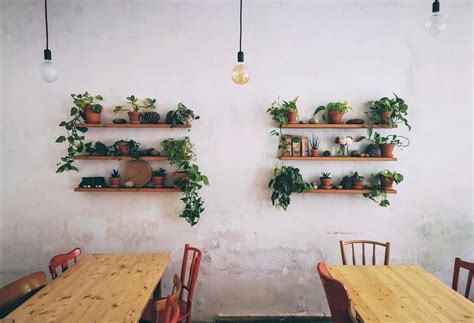 Srnky Praga Vinohrady E Vršovice Menu Preços And Comentários De