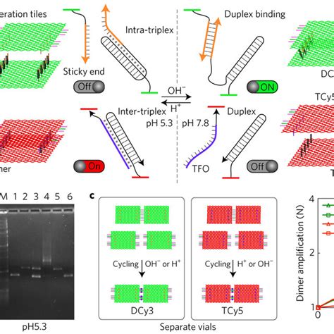 Dna Origami Raft Design And Self Replication Cycling A Seed And