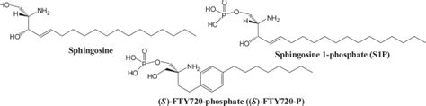 Structures Of Sphingosine S1p And S Fty720 P Download Scientific